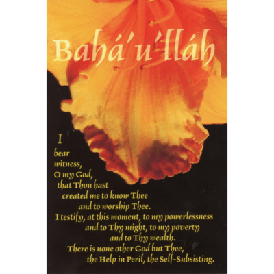 Set of 4 Anna Prayer Postcards - Bahai Resources